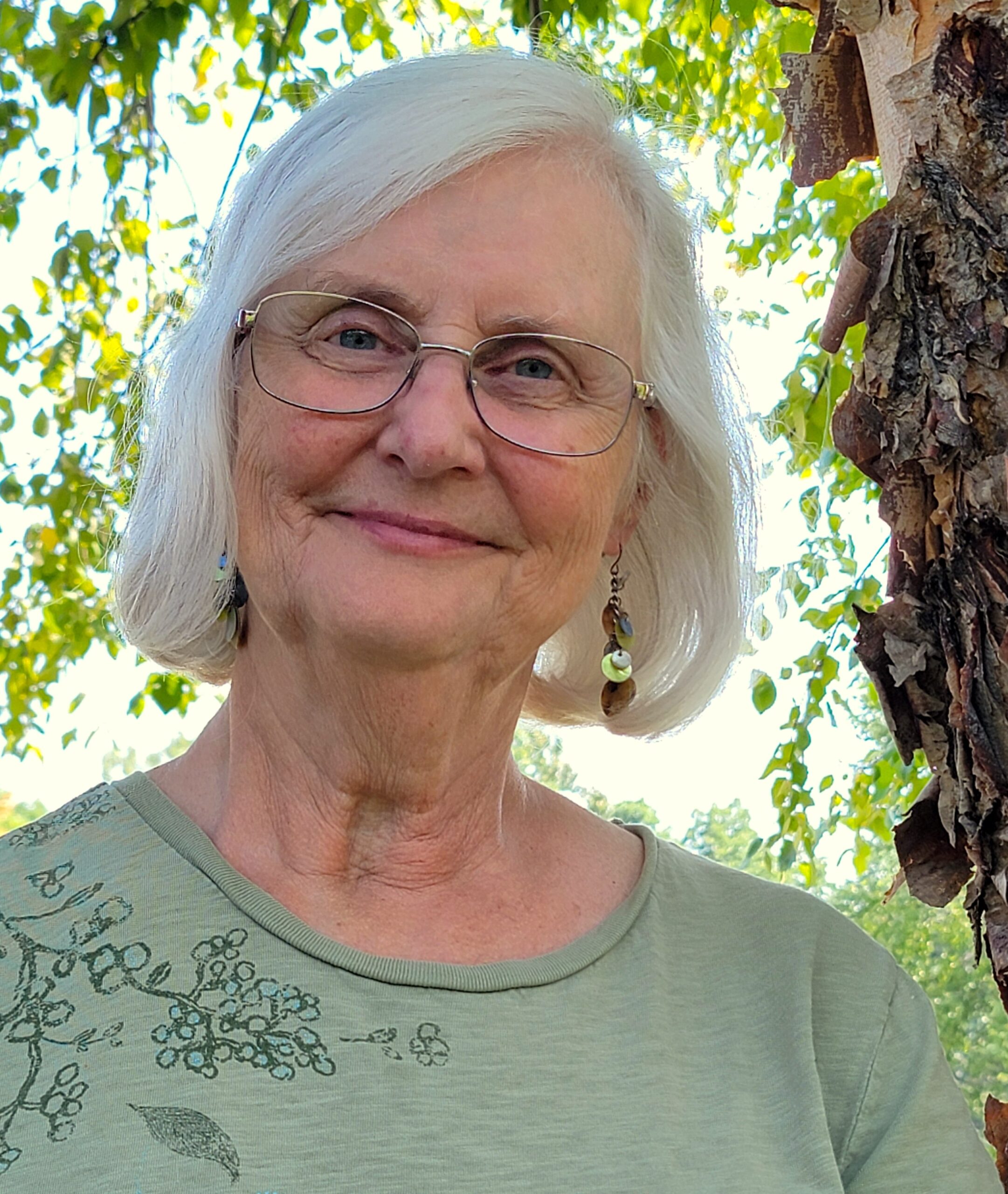 P Brooks Author